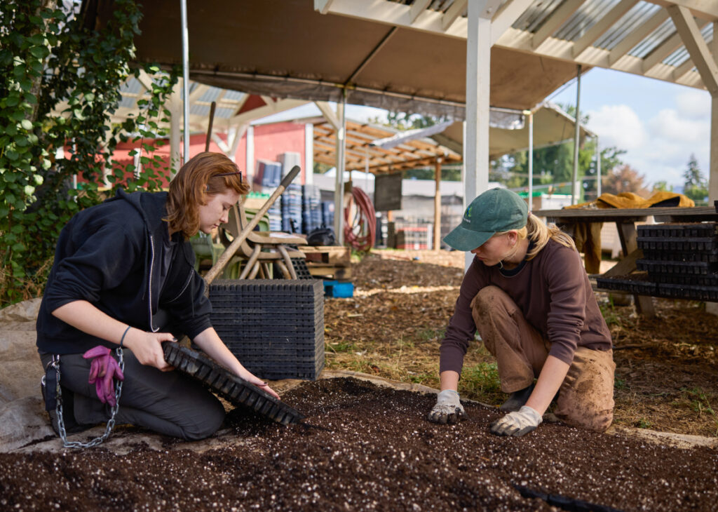 Youth Farm | Food for Lane County – Eugene, Oregon